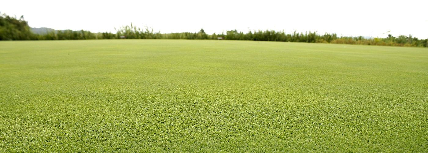 PnP Golf Tip - How to Read the Break and Grain in Grass - PnP Golf AU